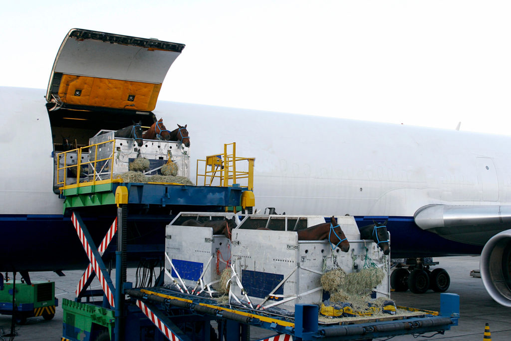 Dr. Paul Lunn on North Carolina’s WEG Preparedness - EquiManagement