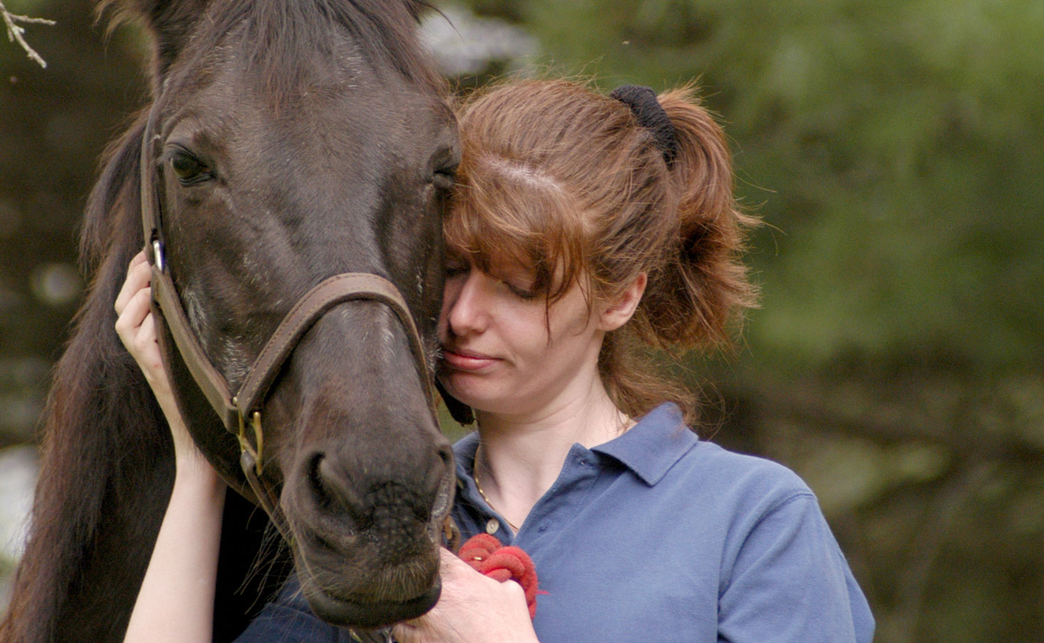 AVMA Updates Guidelines for the Euthanasia of Animals - EquiManagement