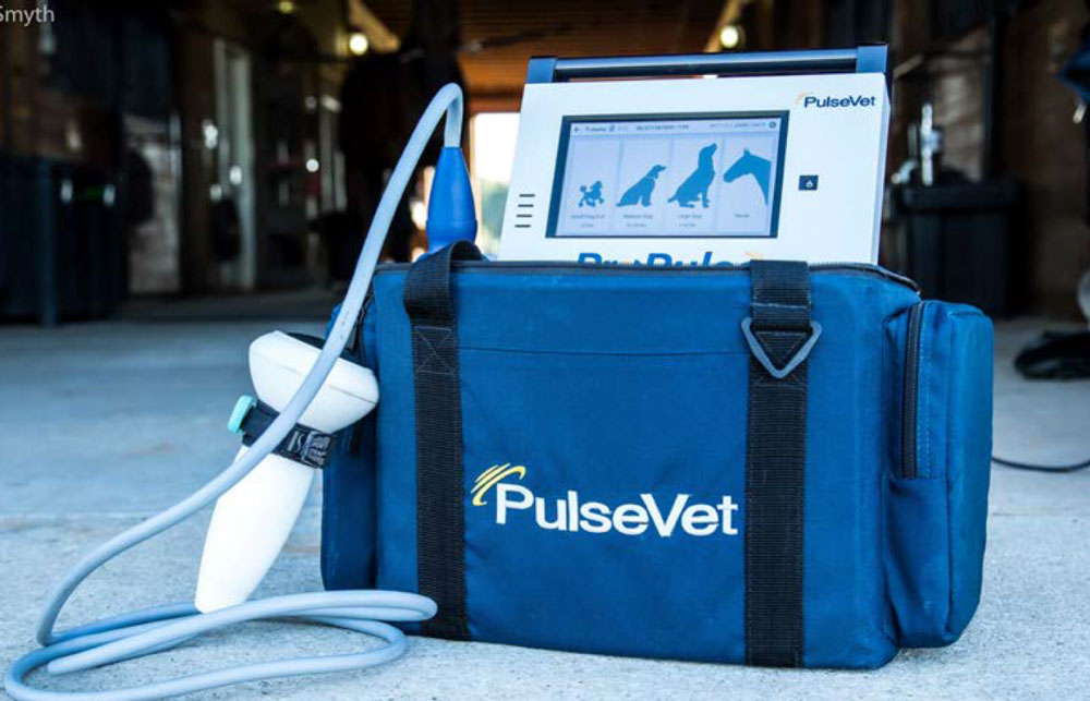 PulseVet Official Shock Wave Therapy of NRCHA - EquiManagement