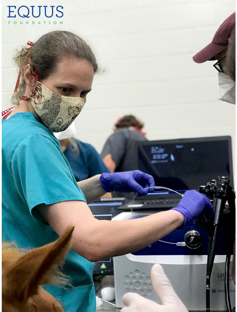 Texas A&M University Doctoral Student Awarded EQUUS Foundation Research ...