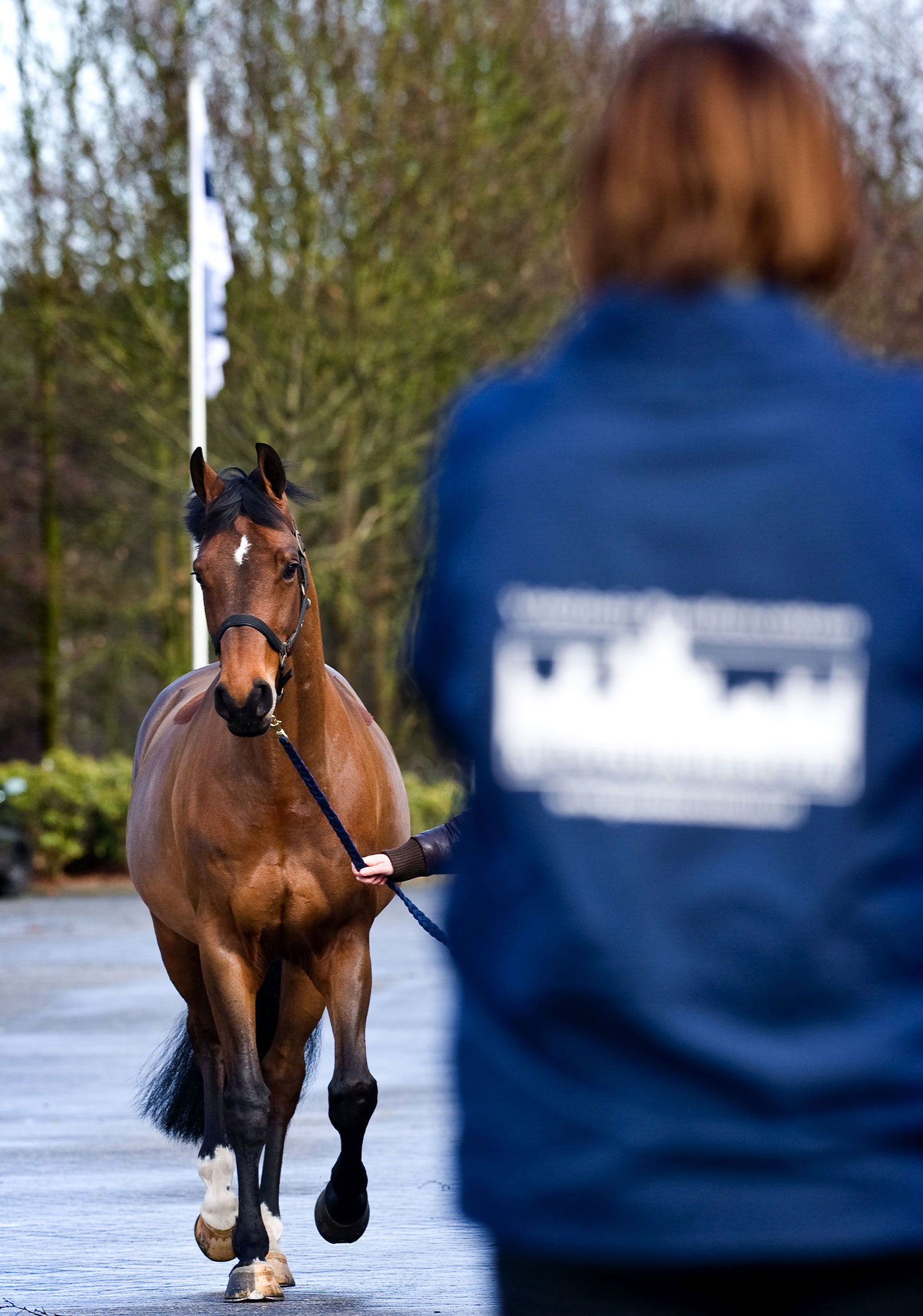 The Perfect Outdoor Exam Area