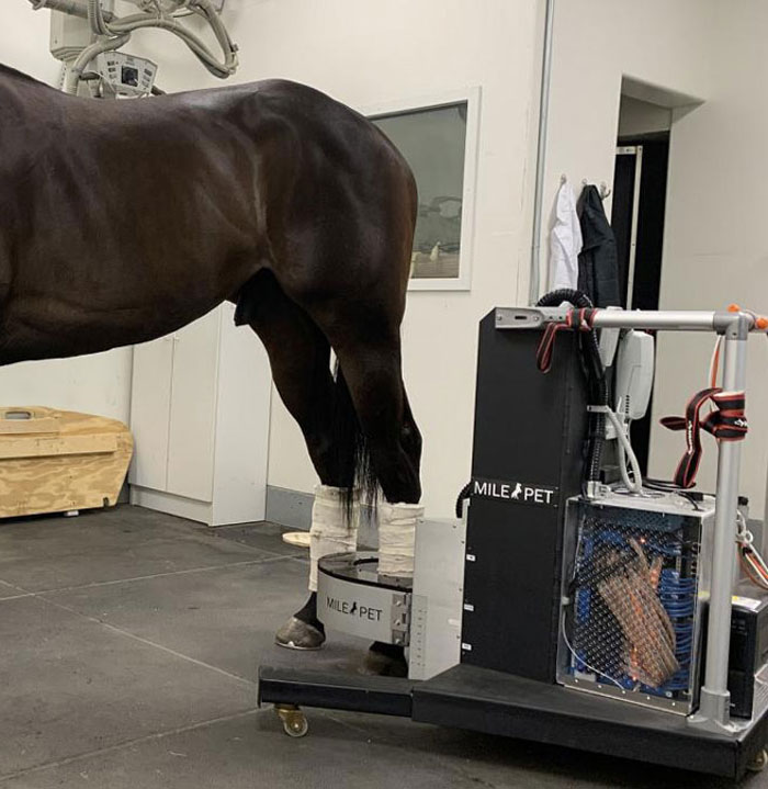 UC Davis Standing Equine PET Scanner Now in Use at Golden Gate Fields ...