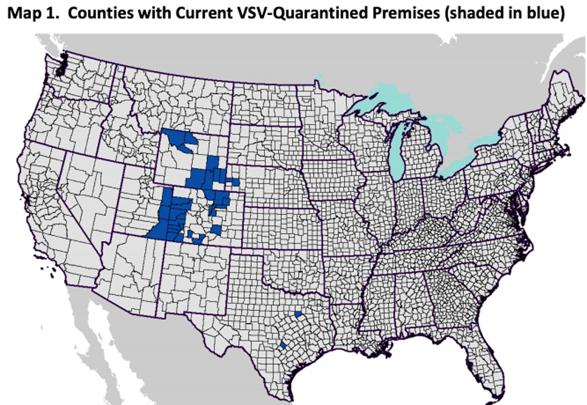 Five States Continue With New VSV Cases - EquiManagement