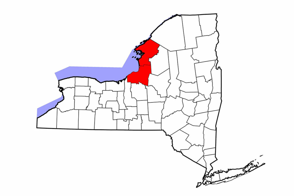 Four Positive EEE Cases in New York - EquiManagement