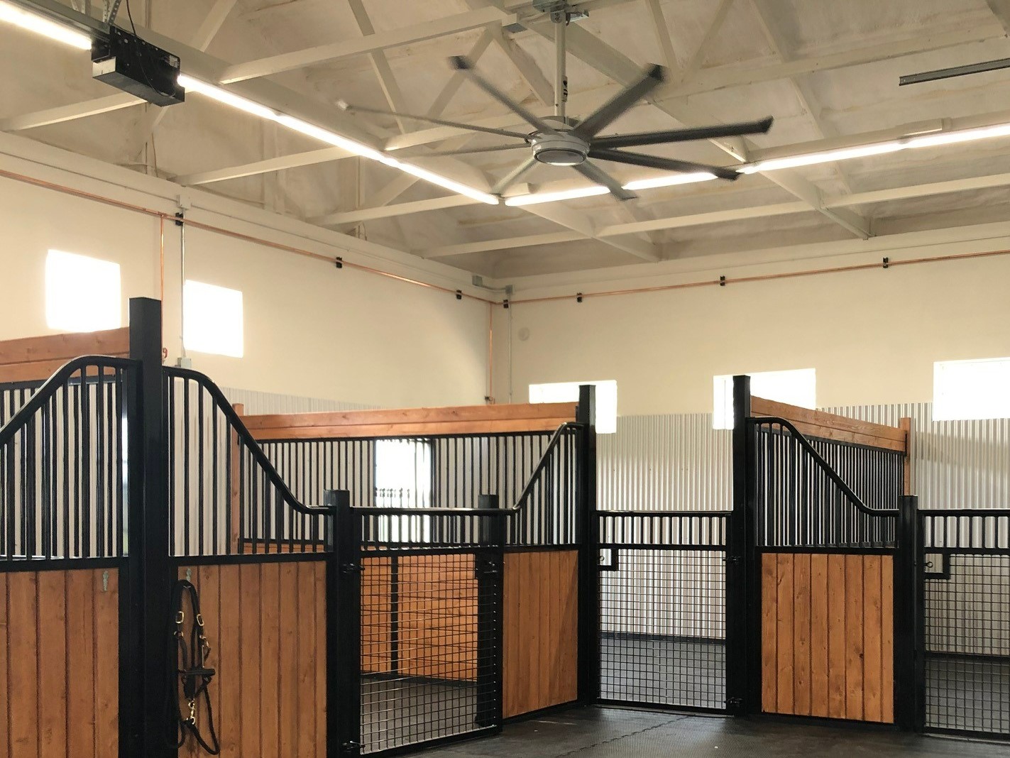 The Right Light for Your Equine Hospital - EquiManagement
