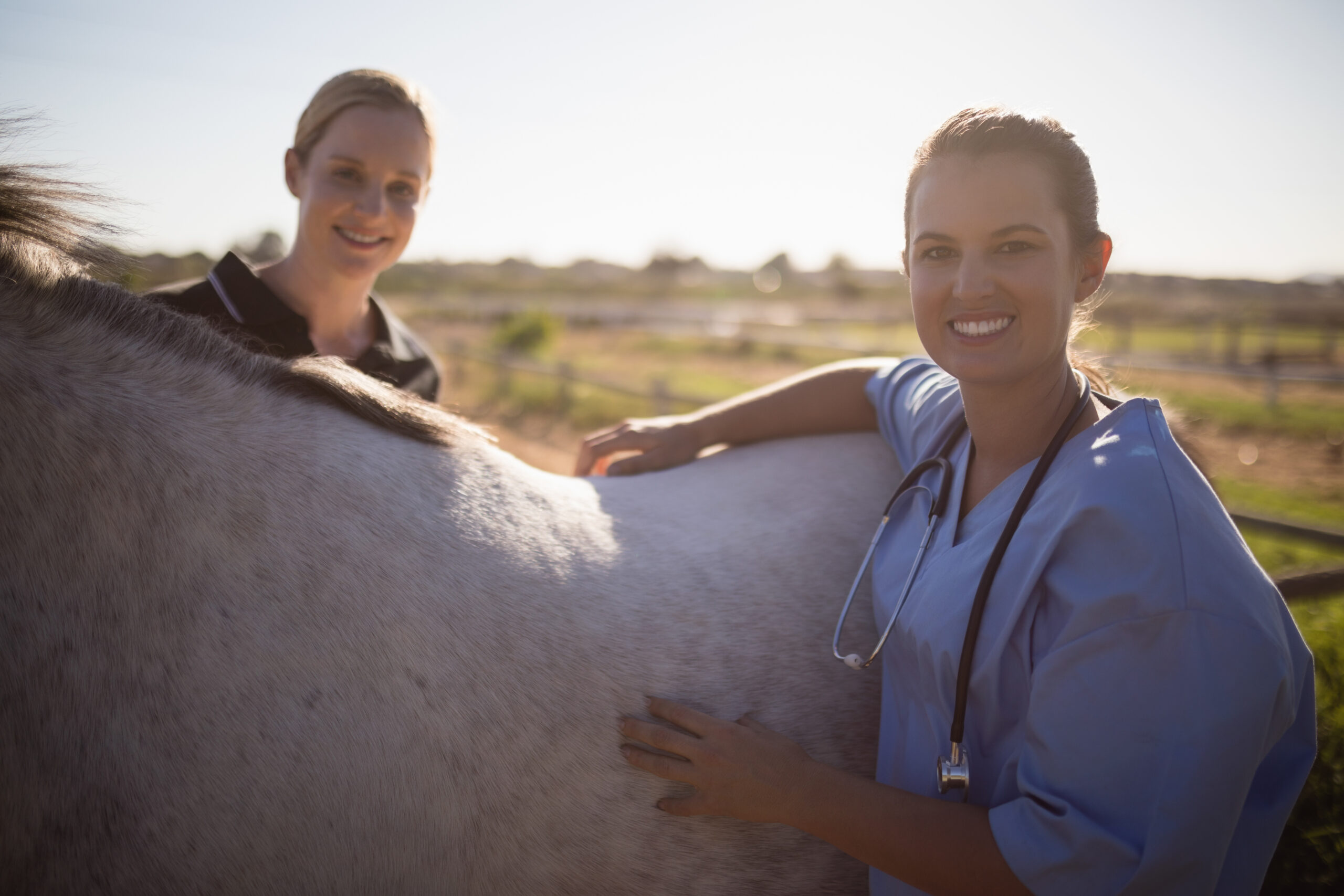 Successful Teams in Equine Practice - EquiManagement