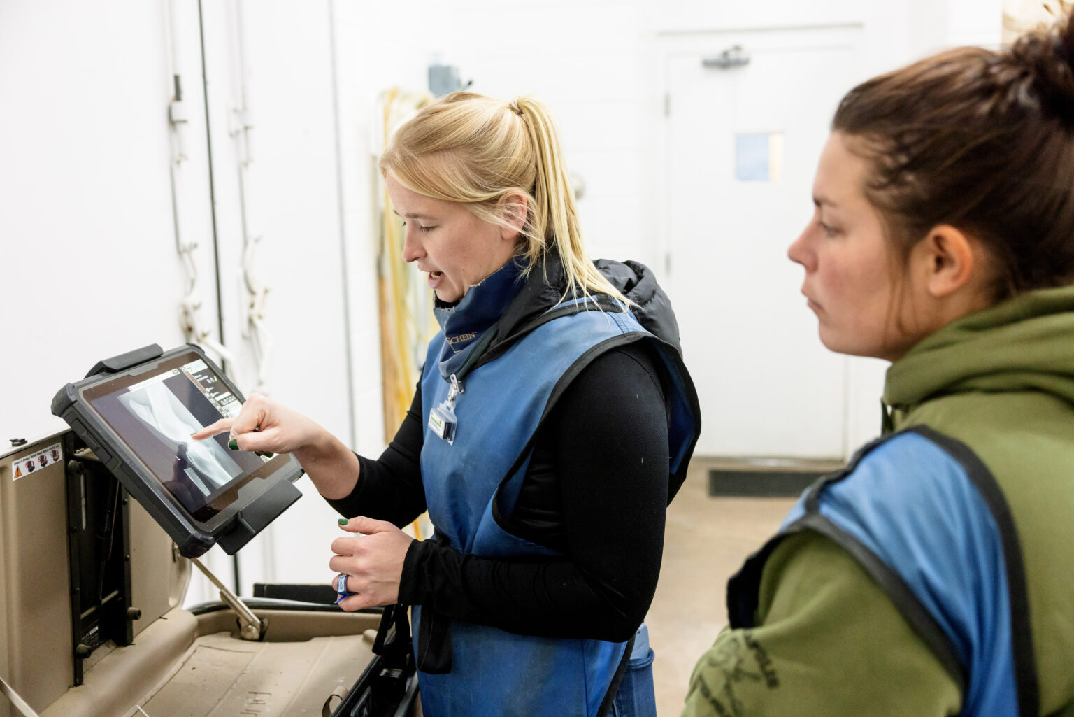 How Vet Tech Development Enhances Your Equine Practice - EquiManagement